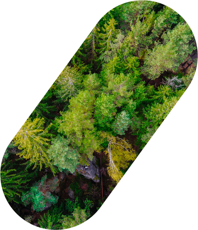 Who We Are – Calysta